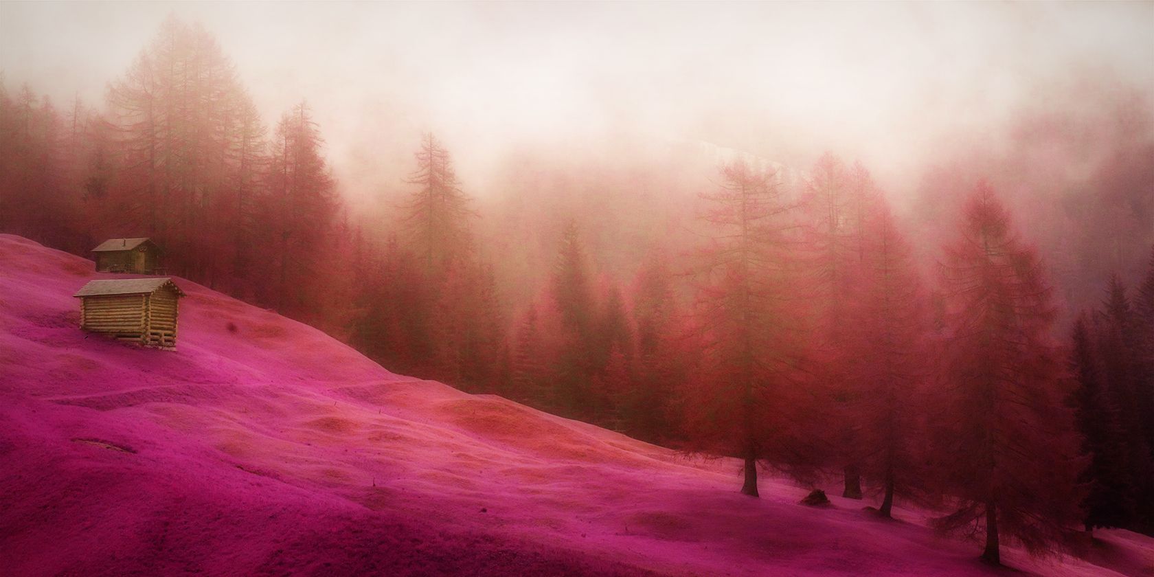 How to Create an Infrared Effect in Photoshop