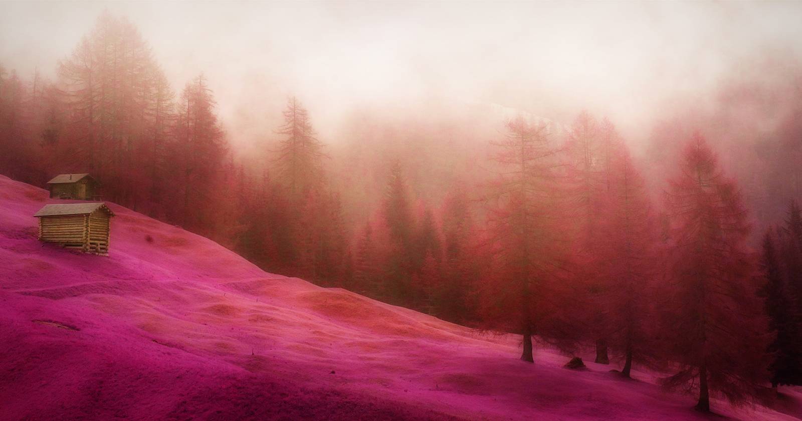 How to Create an Infrared Effect in Photoshop