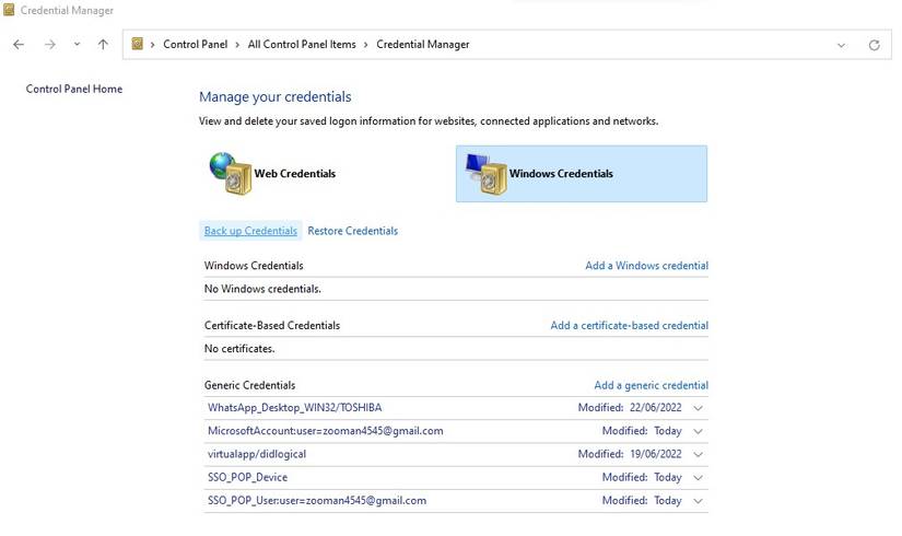 What Is the Credential Manager? How to Save Your Login Credentials in ...