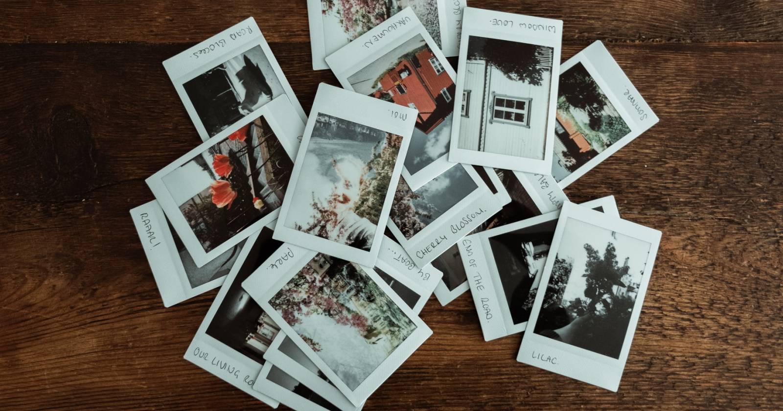 How to Split a GIF Into Individual Frames: 5 Ways