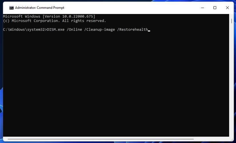 How to Fix the Bad Image 0xc0000006 Error in Windows 10 & 11