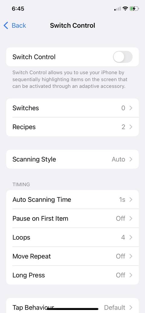 An Overview of All the Accessibility Features on an iPhone