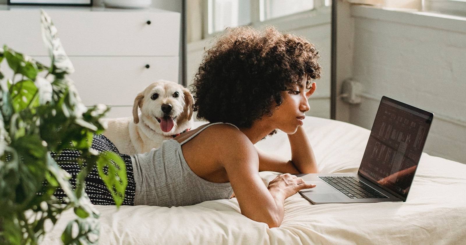 5 Ways to Search for All Your Video Files on Windows