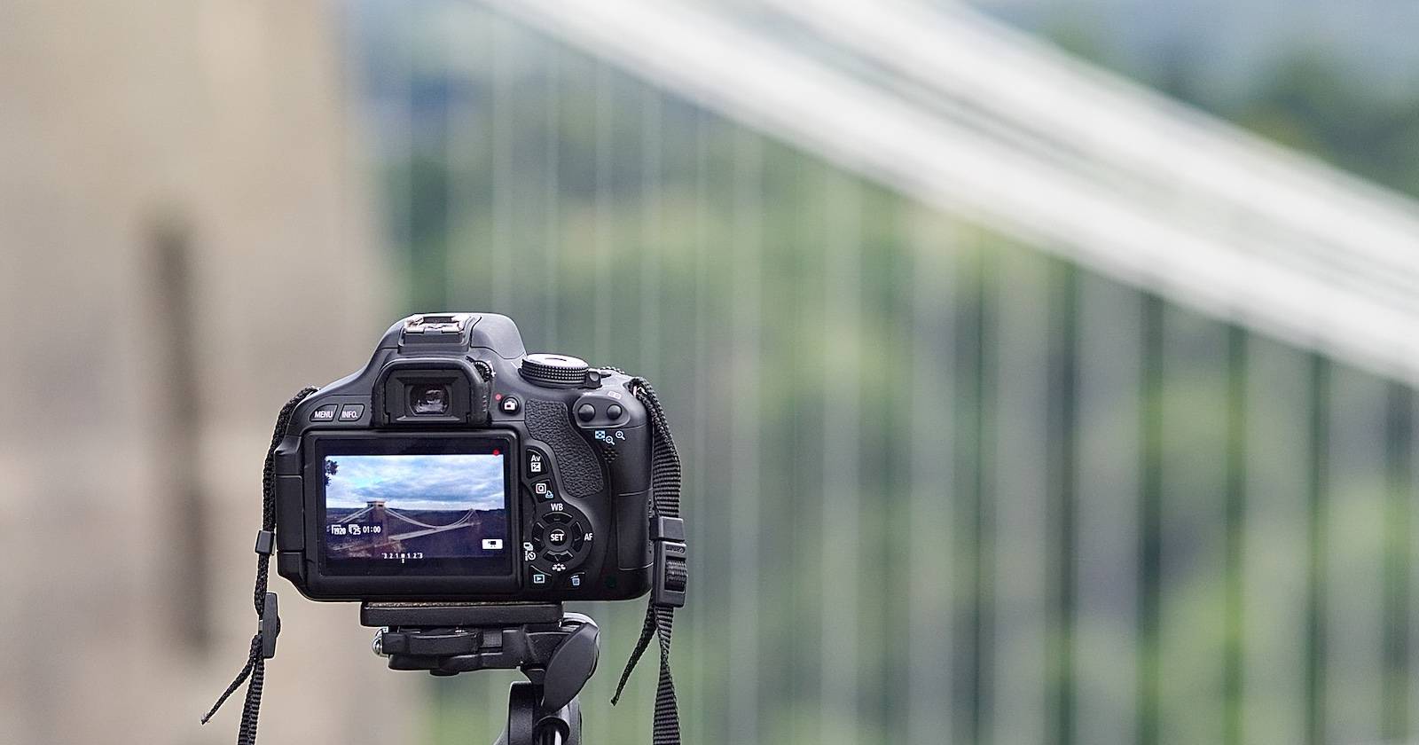 The Focus Modes on Your Camera Explained (and When to Use Them)