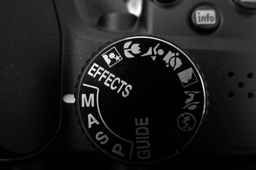 PASM: The Modes on Your Camera Dial Explained (and When to Use Them)
