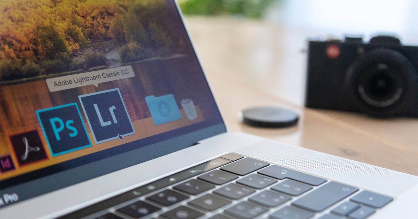 How to Use Lightroom's Transform Tools: A Complete Guide