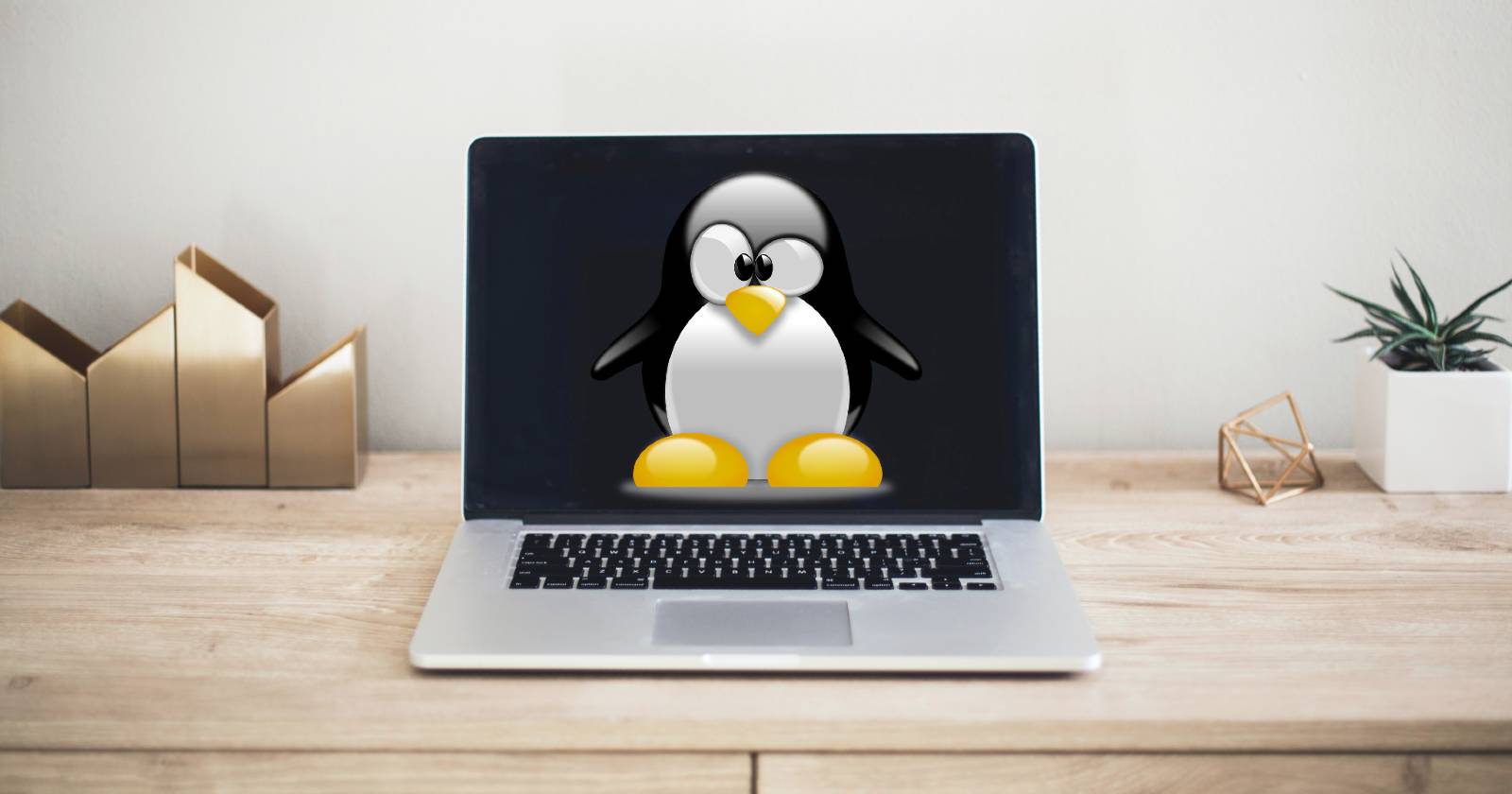 12 New Linux Distros That Launched in 2022