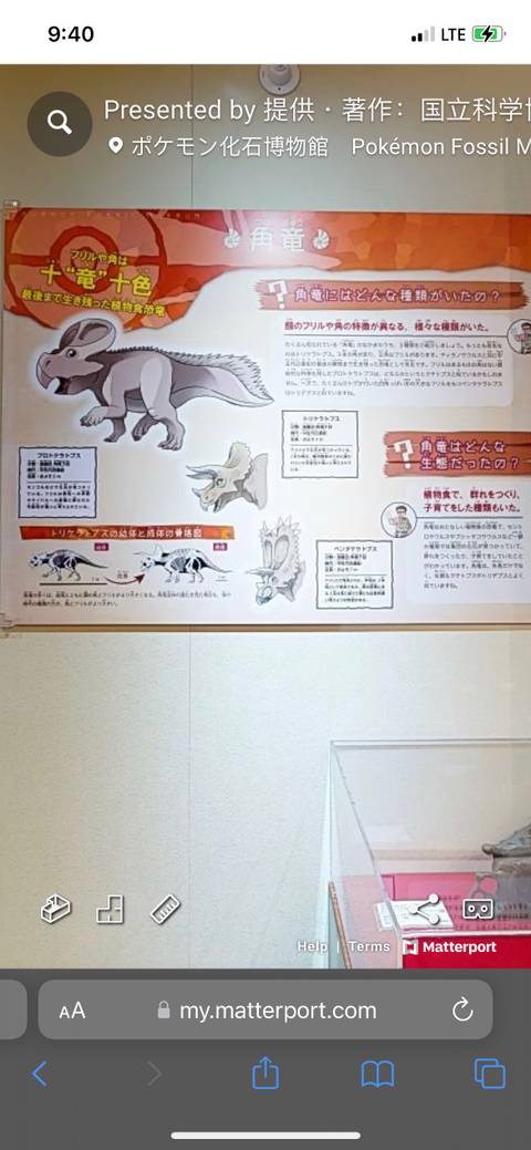 How to Visit Japan's Pokémon Fossil Museum Online