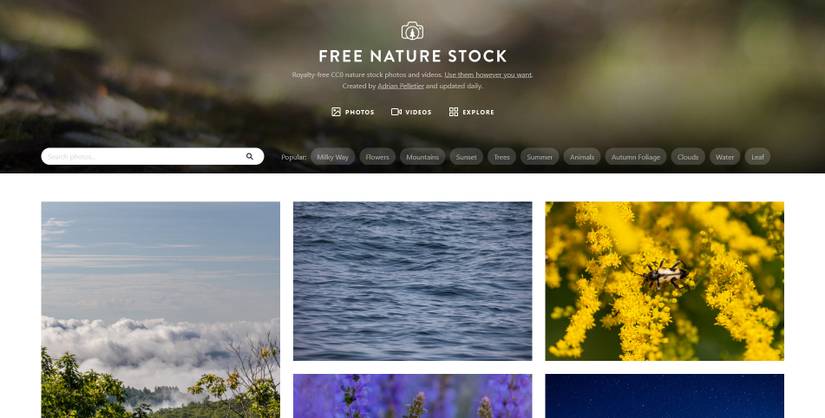 9 Sites That Bring the Natural World to Your Computer or Phone