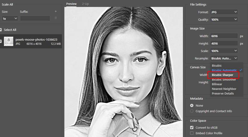 Preparing Photos for Laser Engraving in Photoshop: A Complete Guide