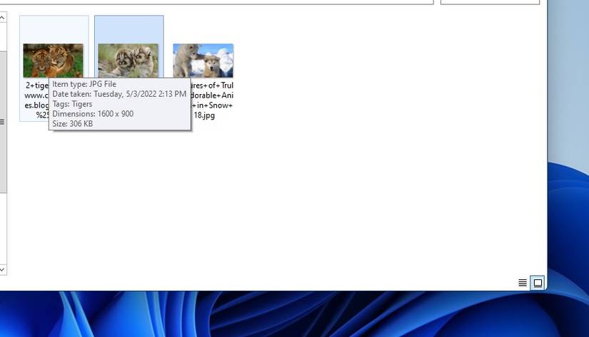 How to Add Search Tags to Files in Windows 11