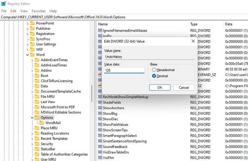 How to Change the Undo Limit for Microsoft Office on Windows