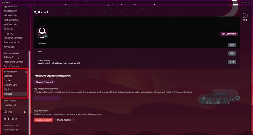 How to Set Up and Use BetterDiscord