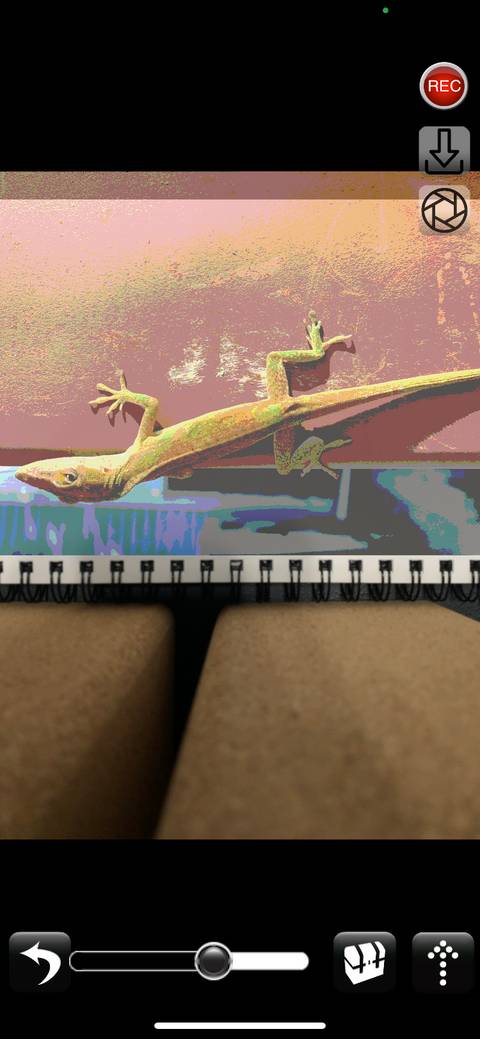 How to Use the Camera Lucida App to Create Fantastic Drawings in No Time