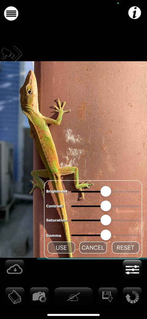 How to Use the Camera Lucida App to Create Fantastic Drawings in No Time