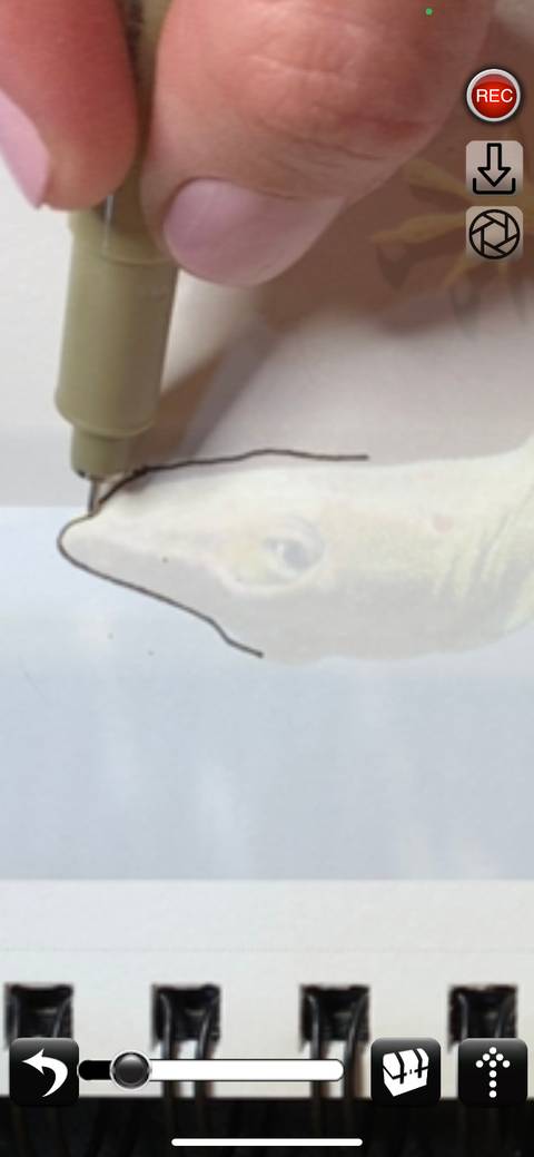 How to Use the Camera Lucida App to Create Fantastic Drawings in No Time