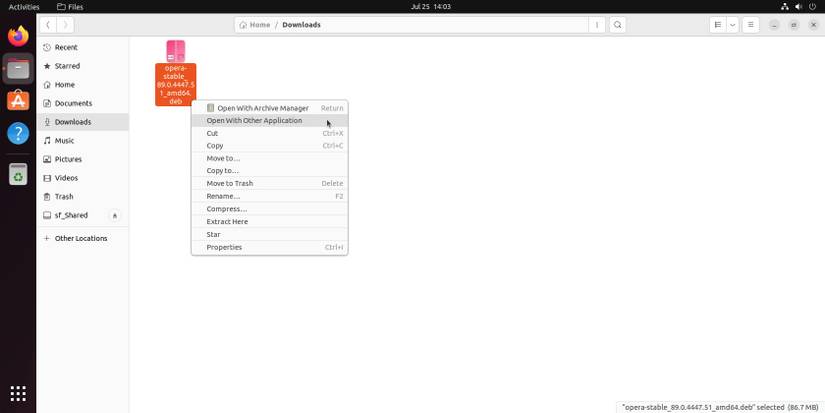 How to Install the Opera Web Browser on Linux
