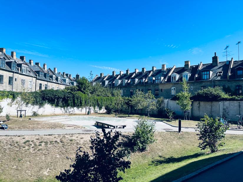 What Are the Different iPhone Camera Filters and When Should You Use Them?