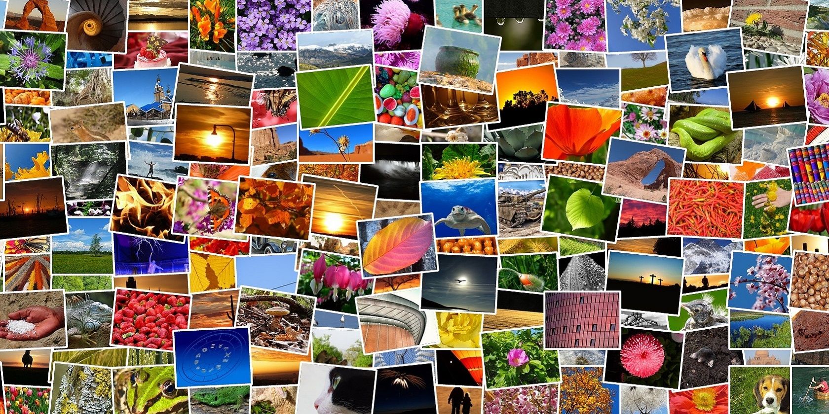 Step-by-Step Guide to Creating Stunning Photo Collages in Windows 11 ...