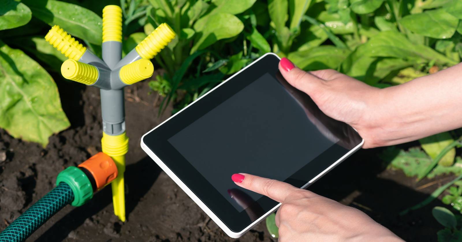 The Best Smart Sprinkler Controllers to Conserve Water and Cash