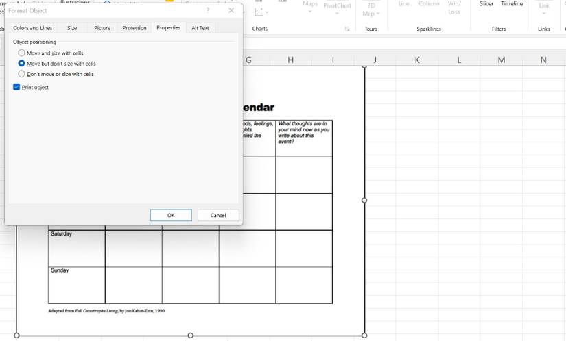 How to Insert a PDF in Excel