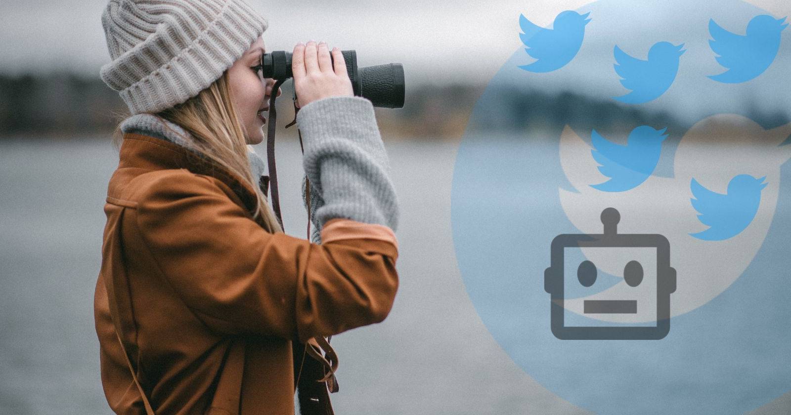 How to Spot a Bot on Twitter