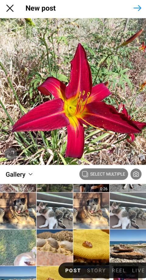 12 Differences Between the Instagram Desktop and Mobile Apps