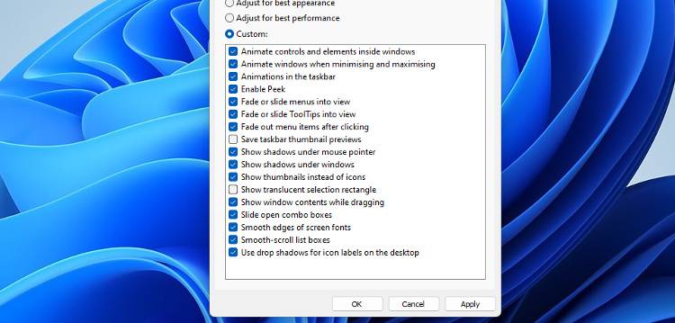 How to Customize or Disable the Windows Desktop Selection Rectangle