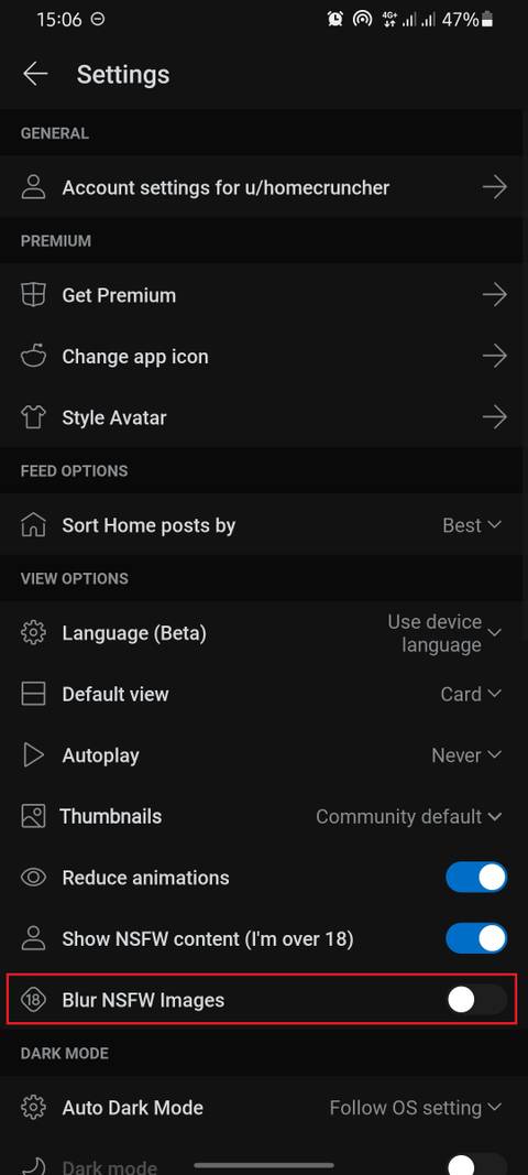 Why Is Reddit Blurry? How to Unblur NSFW Content