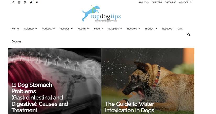 The 10 Best Websites for Dog Lovers With Pet Care Questions