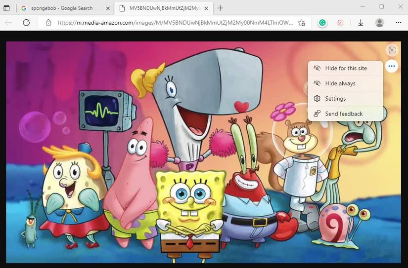 How to Disable Visual Search in Microsoft Edge