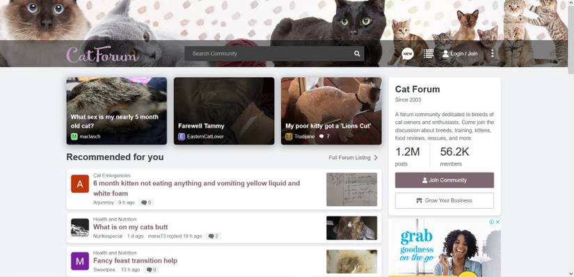 The 9 Best Websites for Cat Lovers of All Ages