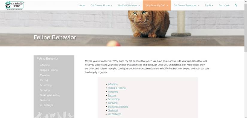The 9 Best Websites for Cat Lovers of All Ages