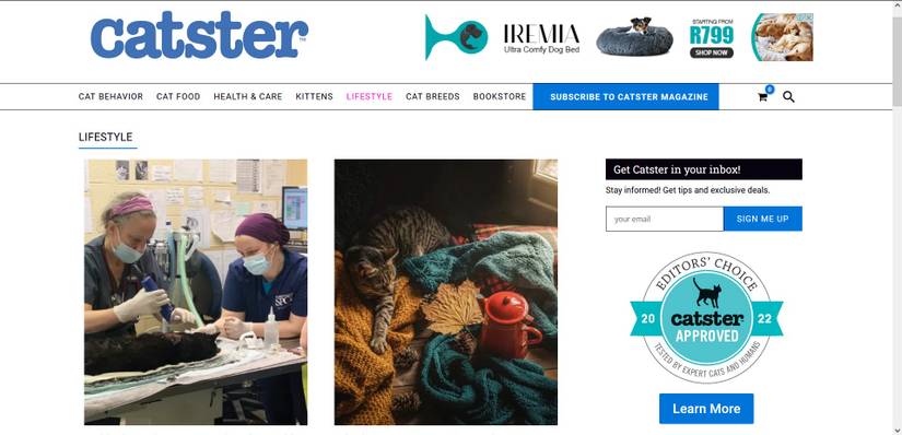 The 9 Best Websites for Cat Lovers of All Ages