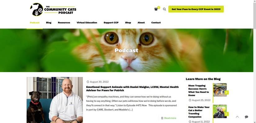 The 9 Best Websites for Cat Lovers of All Ages
