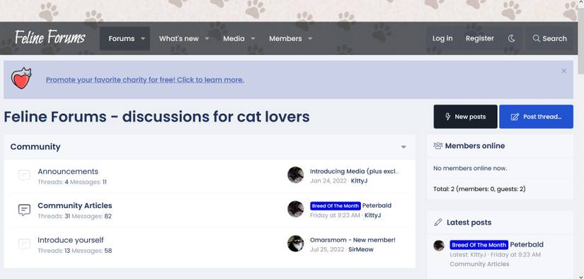 The 9 Best Websites for Cat Lovers of All Ages