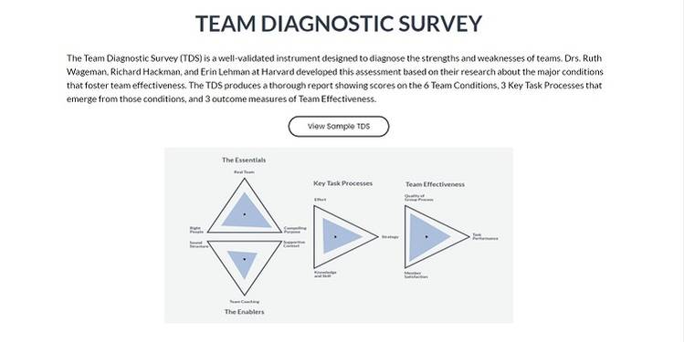 The 6 Best Team Assessment Tools