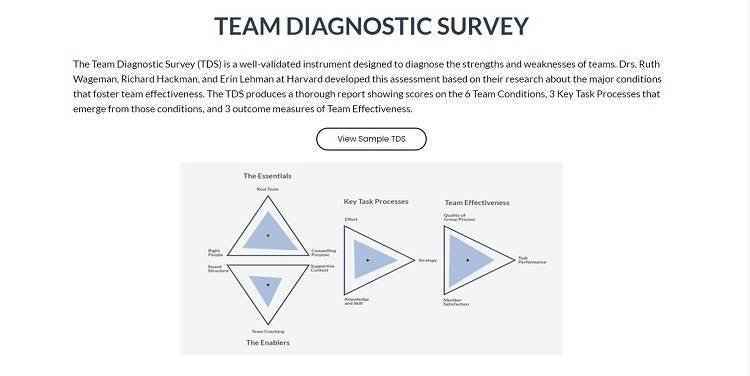 The 6 Best Team Assessment Tools