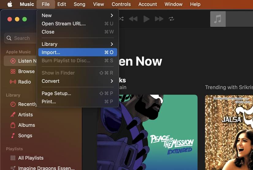 How to Play Your Own Music on Apple Music