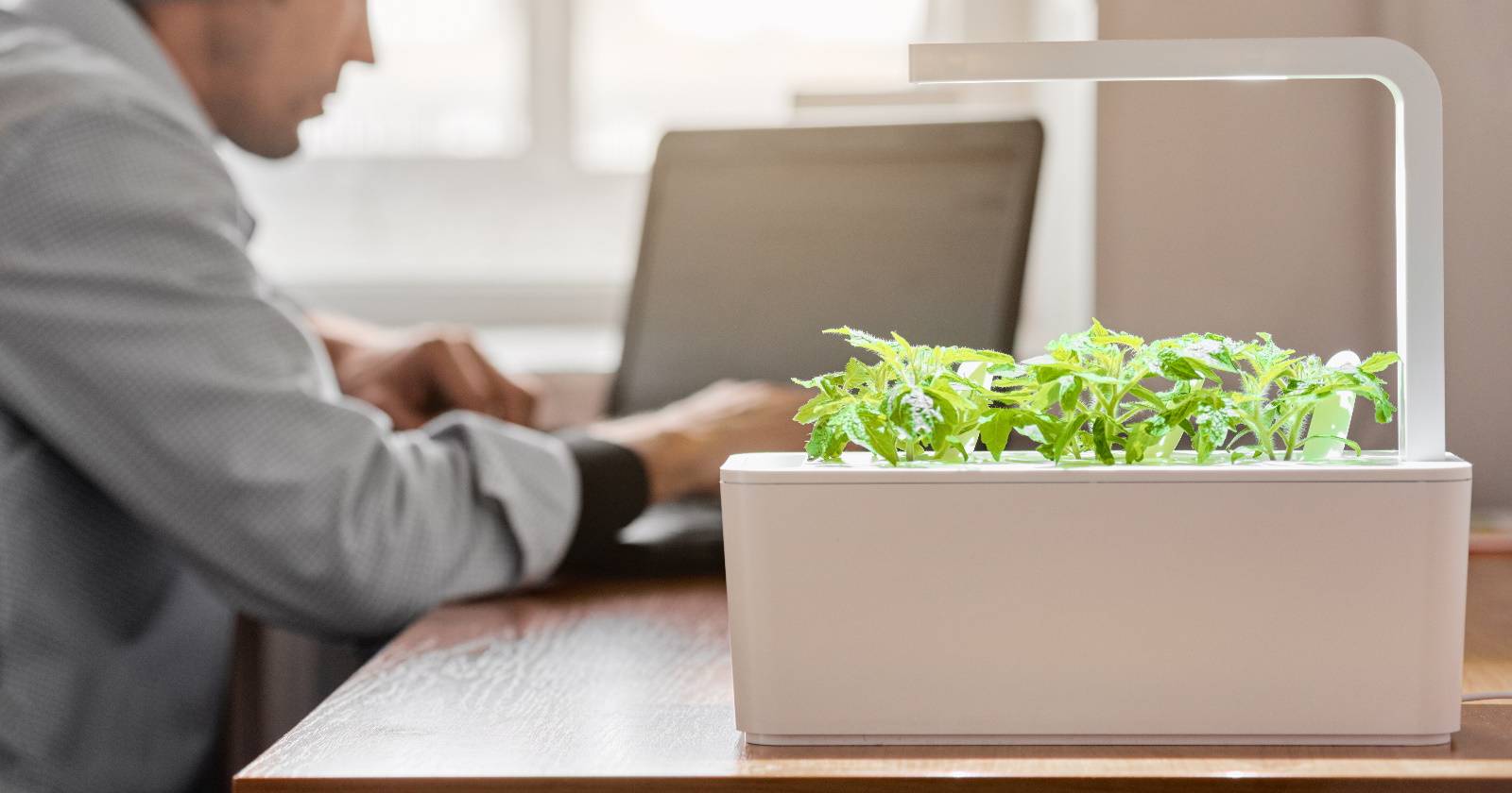 The Best Smart Garden for Your Home