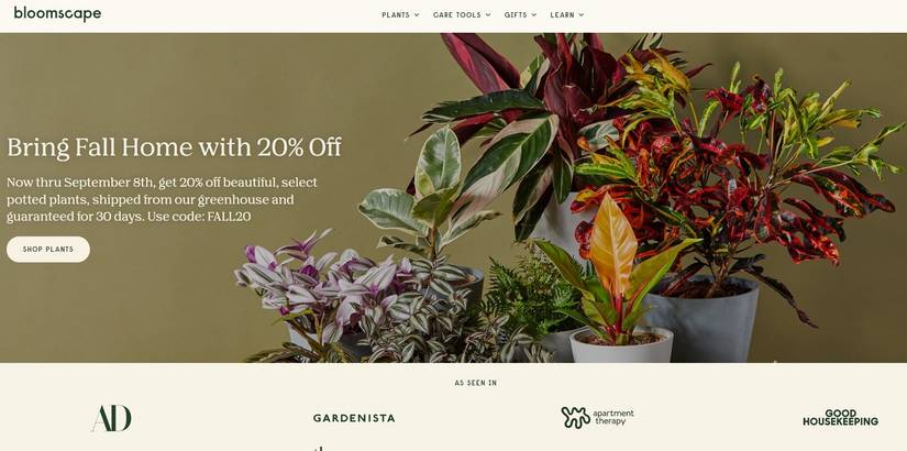 9 Plant Delivery Services to Try Next Time You Shop Online