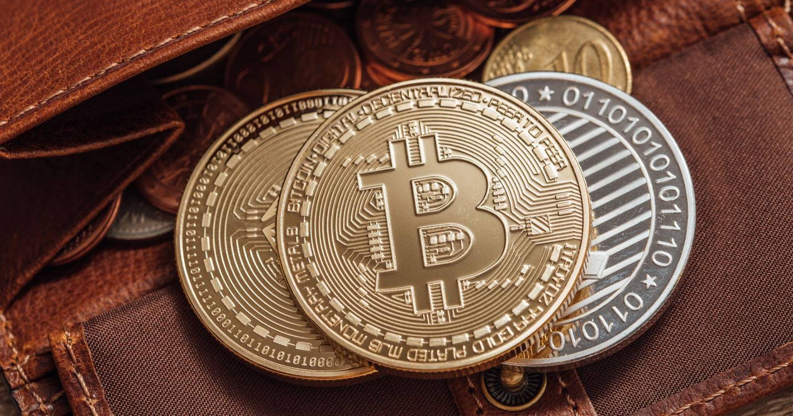 Hardware vs. Software Crypto Wallets: What's the Difference?