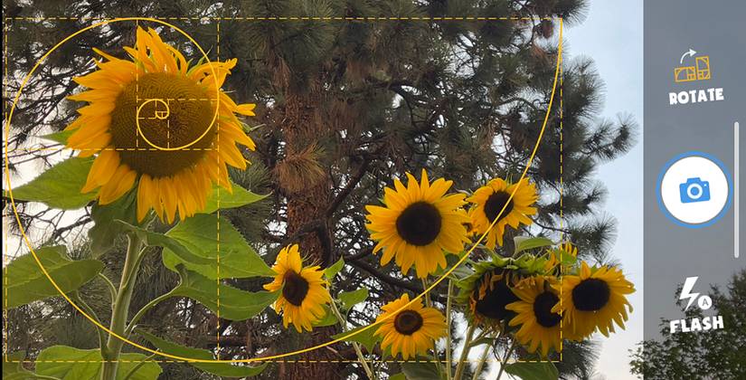 What Is the Golden Ratio in Photography?