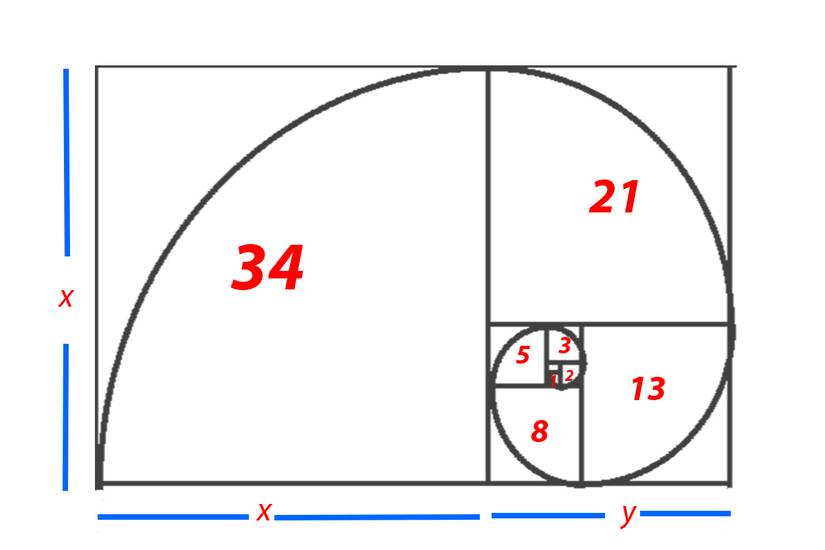 What Is the Golden Ratio in Photography?