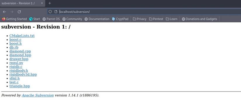 Using the Subversion Version Control System on a Server