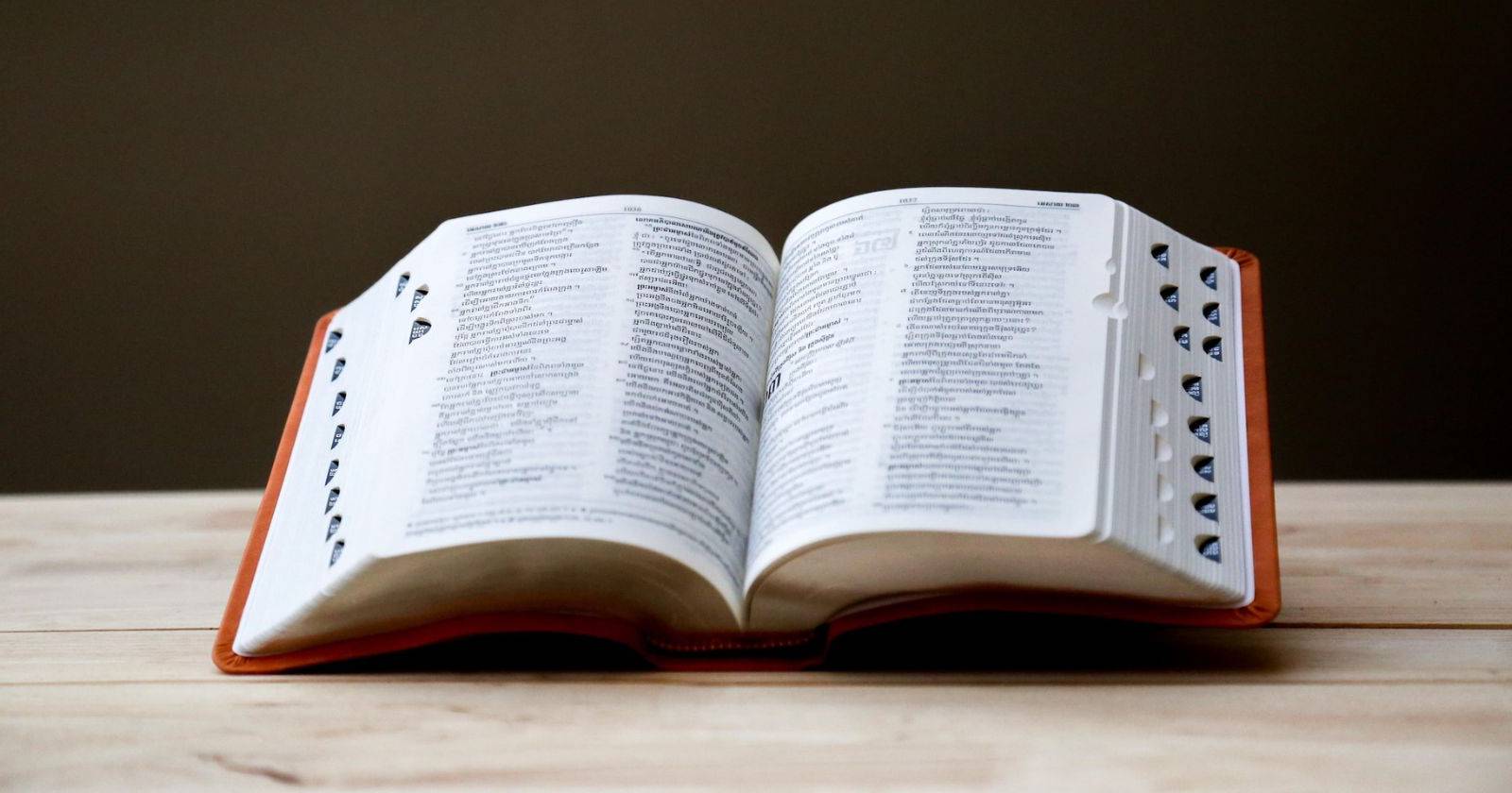 3 Quick Ways to Look Up Definitions in Windows 11