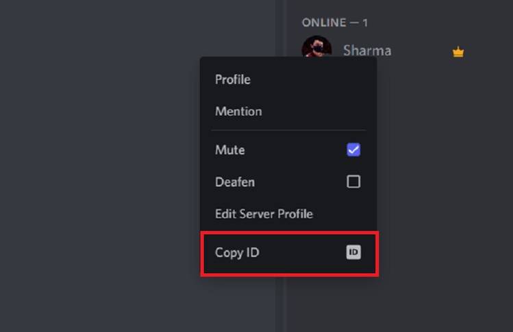 How to Get a Better Look at Someone's Discord Profile Picture