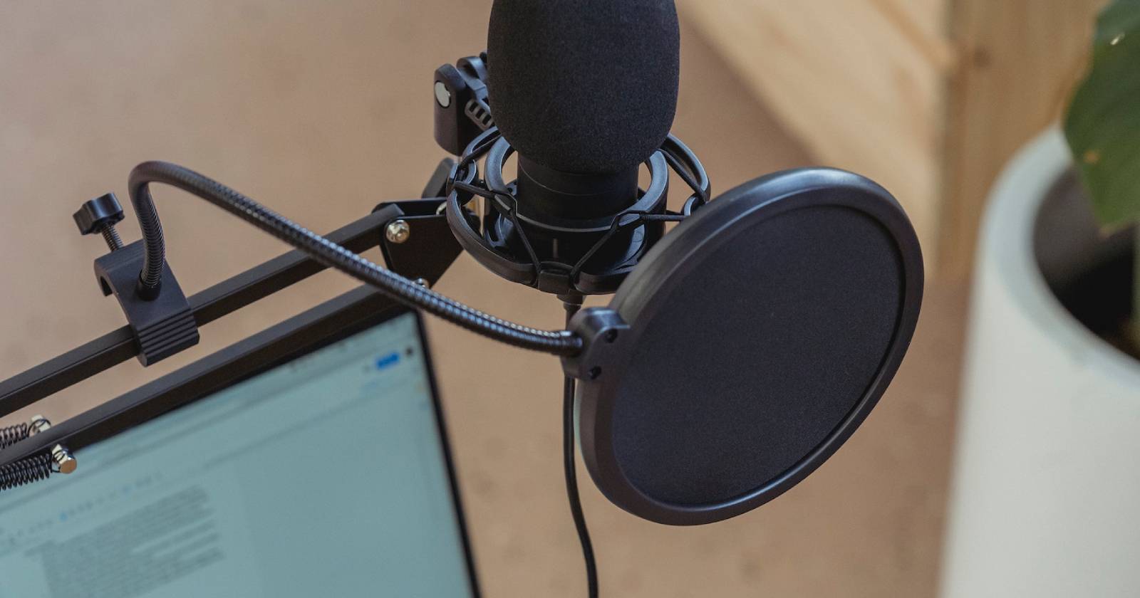 How to Mute or Turn Off the Microphone in Windows 10