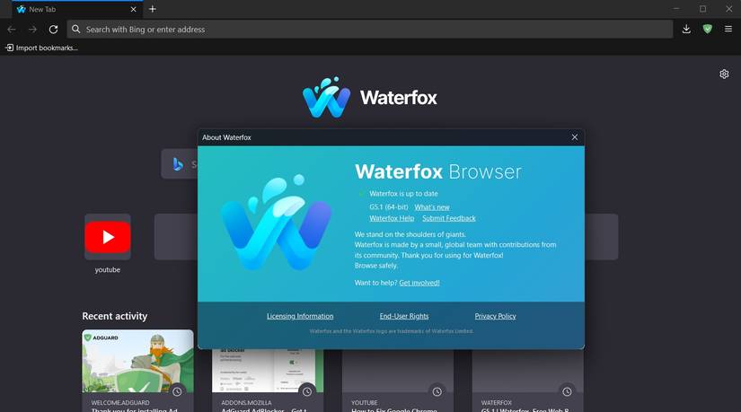 7 Fixes to Try When Waterfox Is Not Loading Webpages on Windows