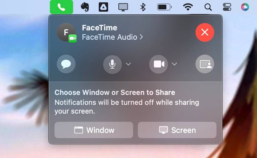 A Closer Look at the New FaceTime Features in macOS Ventura